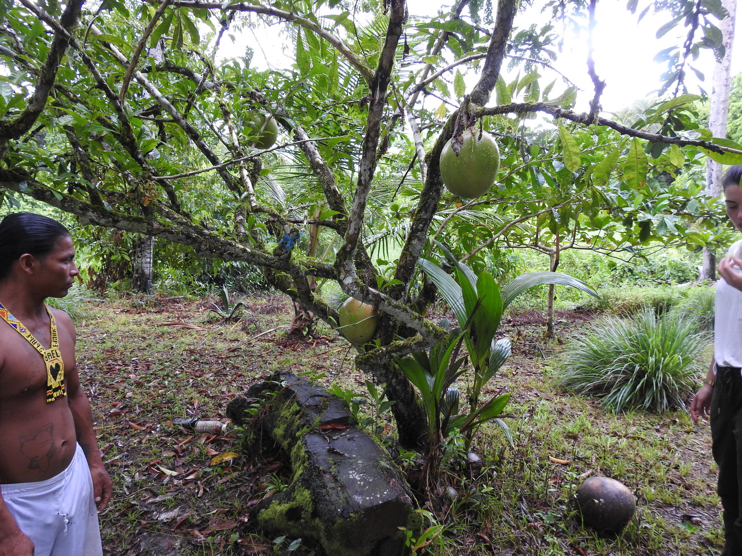 Sranan Special 2016 – Hoofdstuk 1 – De Aanloop | Suriname Per Foto